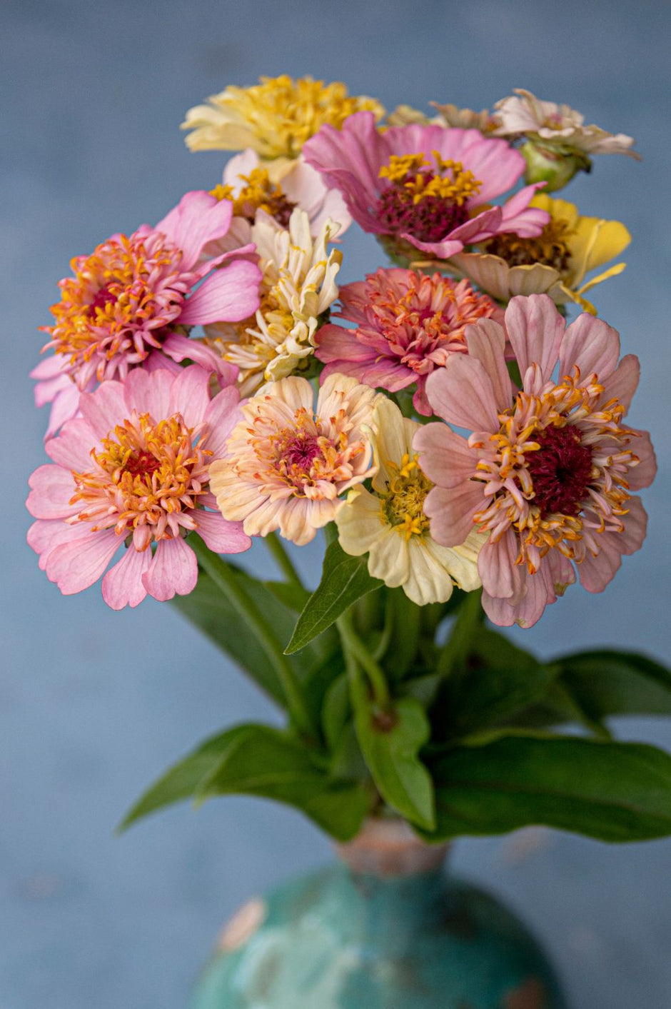 DER COTTAGE GARTEN IN DER VASE – Die besten Schnittblumen aus dem eigenen Garten – My Cottage Garden