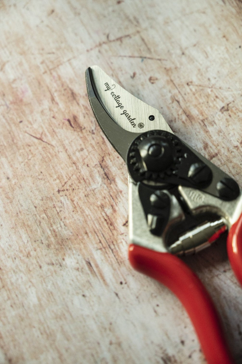 DER CHELSEA CHOP – Geht den Pflanzen an den Kragen – My Cottage Garden